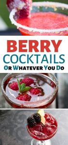 Delicious Berry Cocktails – The best cocktails featuring a variety of ...