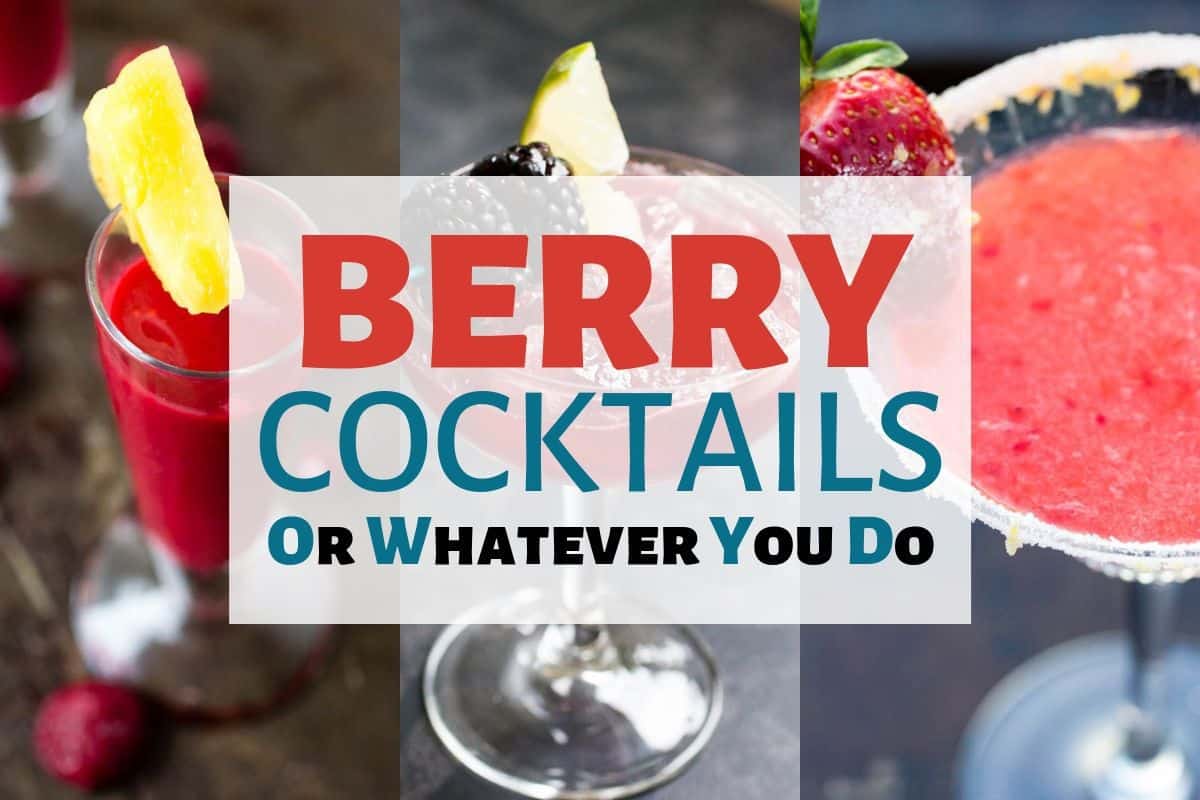 Delicious Berry Cocktails – The best cocktails featuring a variety of ...