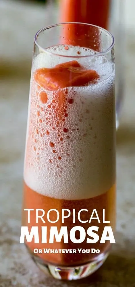 Tropical Mimosas - Frozen Prosecco Cocktail Recipe