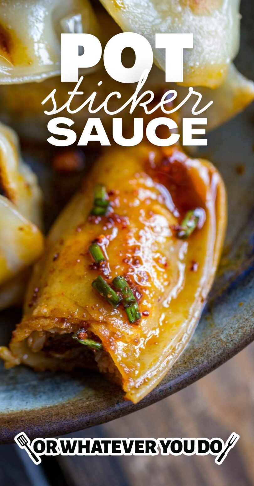 Potsticker Sauce – Or Whatever You Do