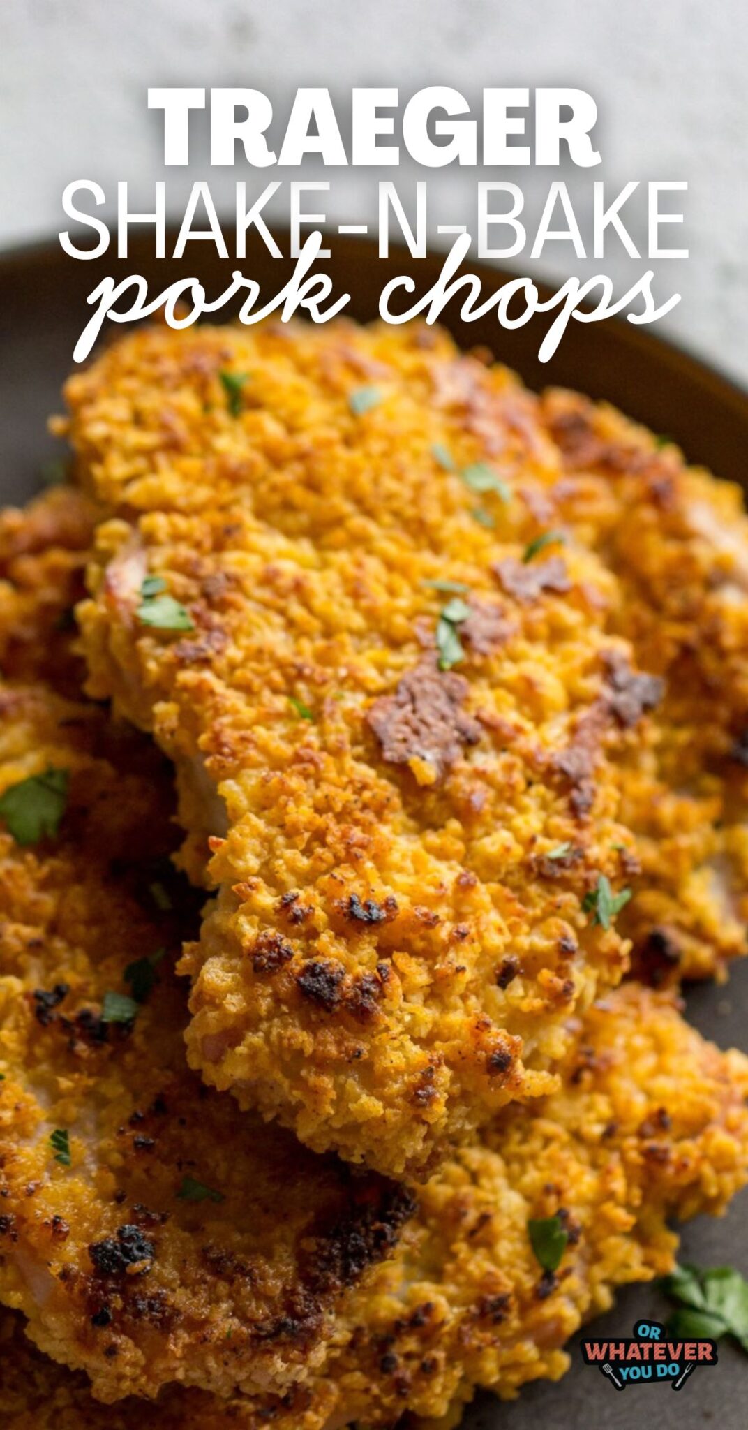 Traeger Breaded Pork Chops – Or Whatever You Do
