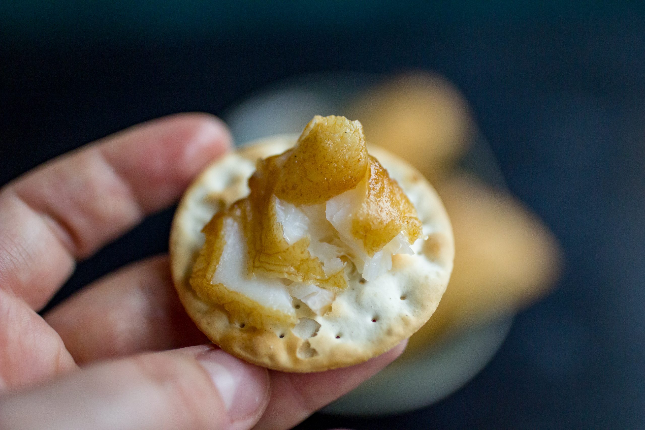 Smoked Black Cod – Or Whatever You Do