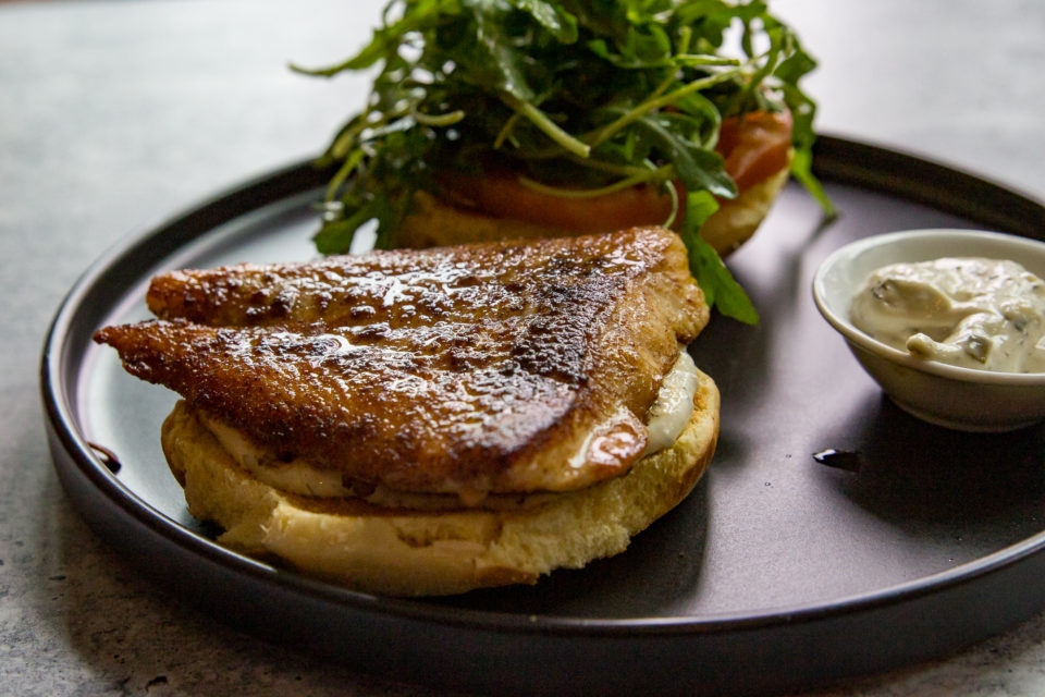 Blackstone Blackened Fish Sandwich – Or Whatever You Do