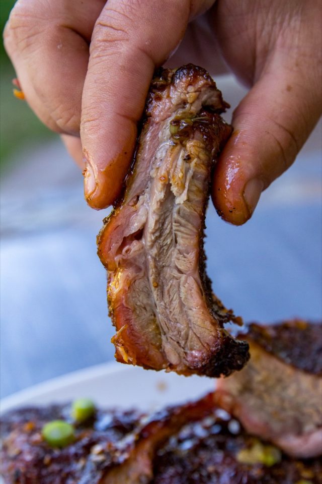 Smoked Party Ribs – Or Whatever You Do