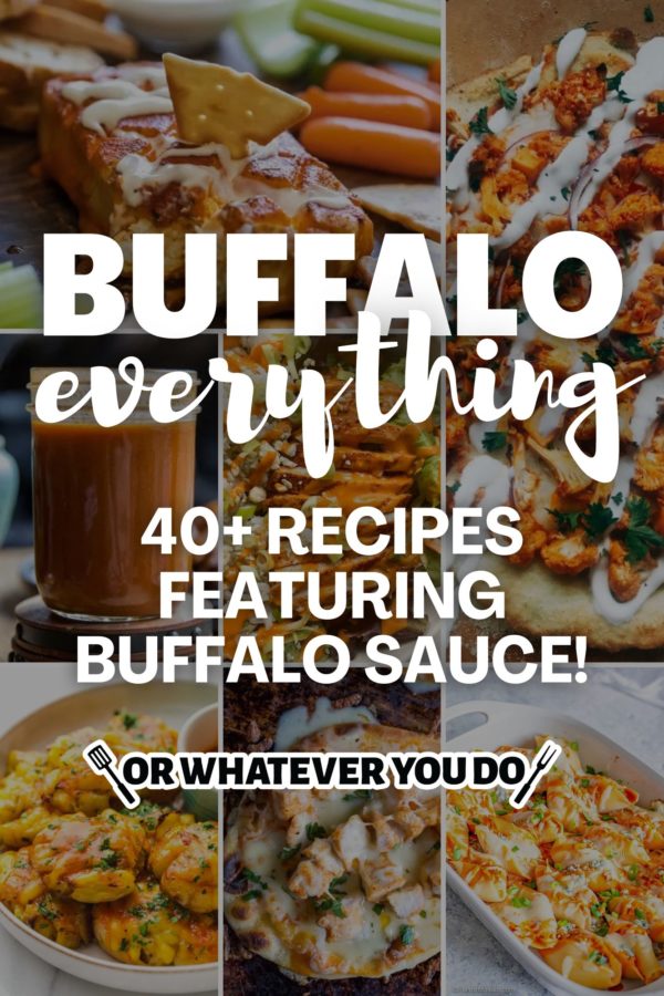 Buffalo EVERYTHING - 40 Buffalo Recipes to knock your socks off – Or ...