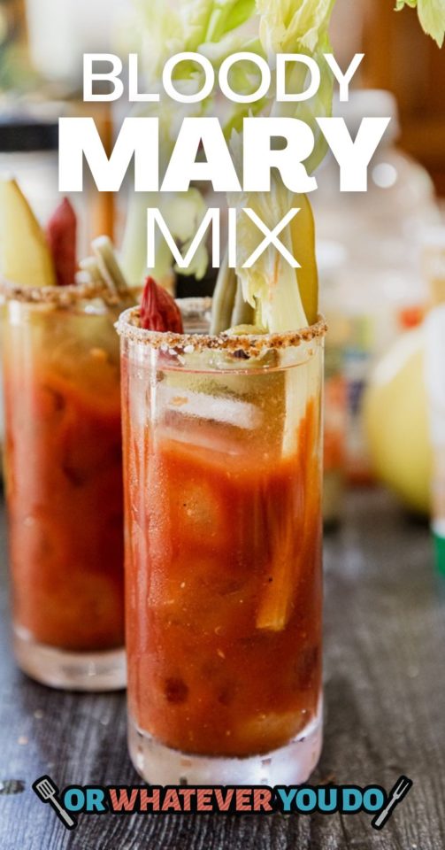 Homemade Bloody Mary Mix – Or Whatever You Do