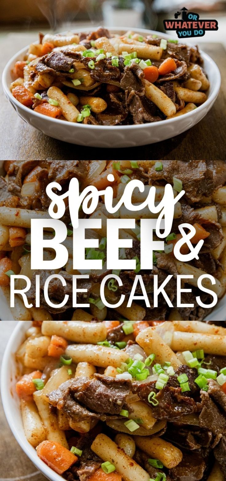 Spicy Beef and Korean Rice Cakes - Tteokbokki – Or Whatever You Do