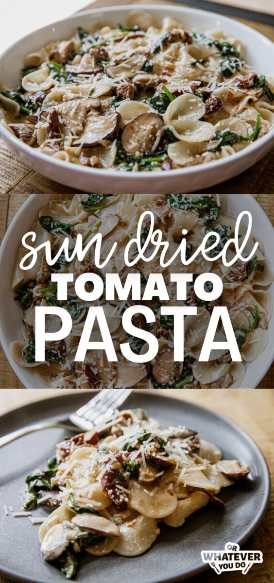 Creamy Sun-Dried Tomato Pasta – Or Whatever You Do