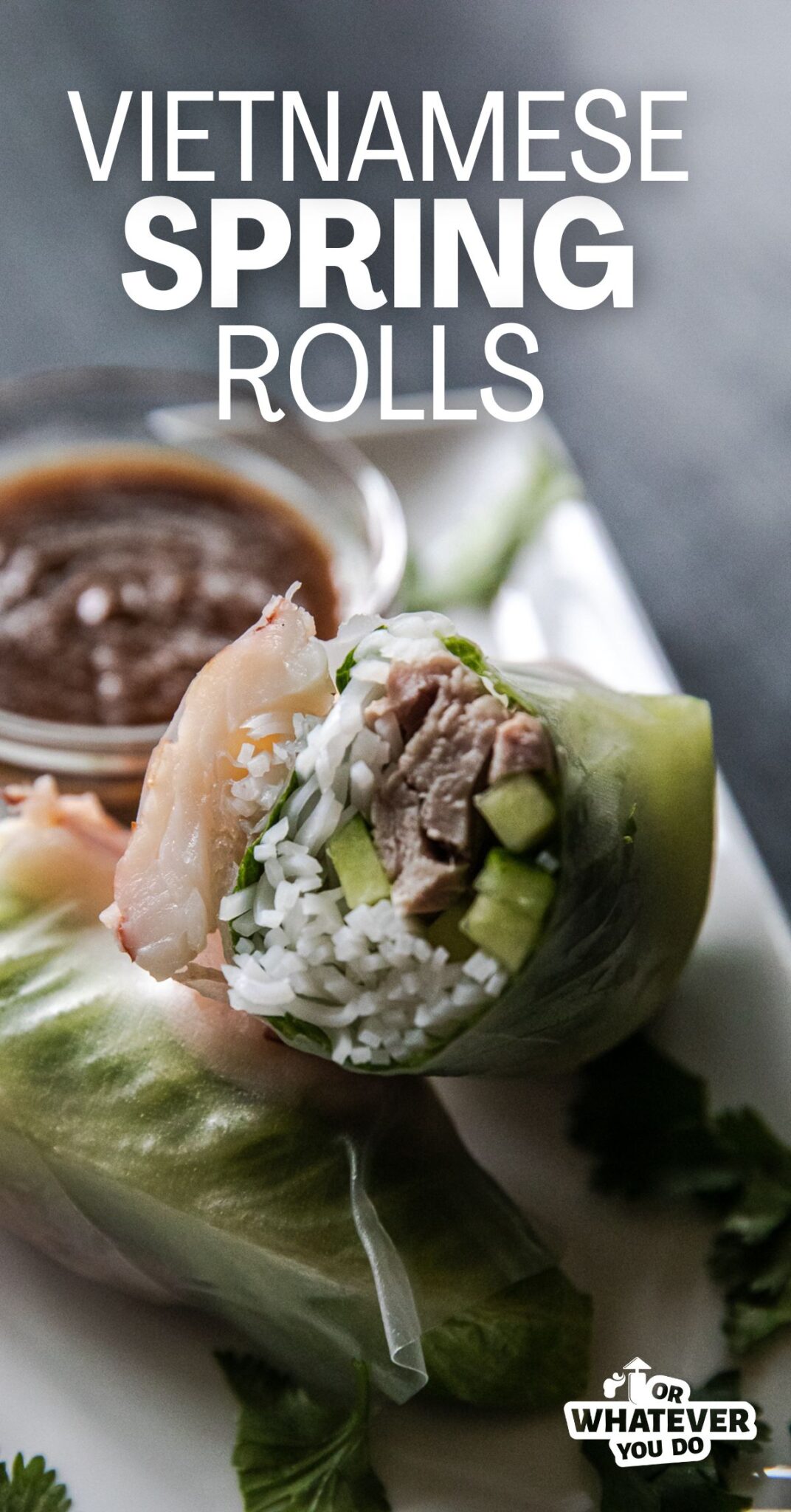 Vietnamese-Style Spring Rolls – Or Whatever You Do