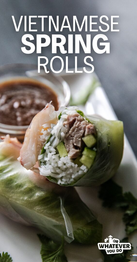 Vietnamese-Style Spring Rolls – Or Whatever You Do