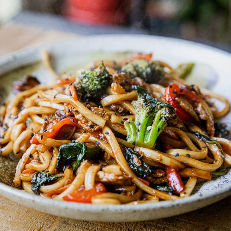 Chinese Style Udon with Pork Tenderloin – Or Whatever You Do