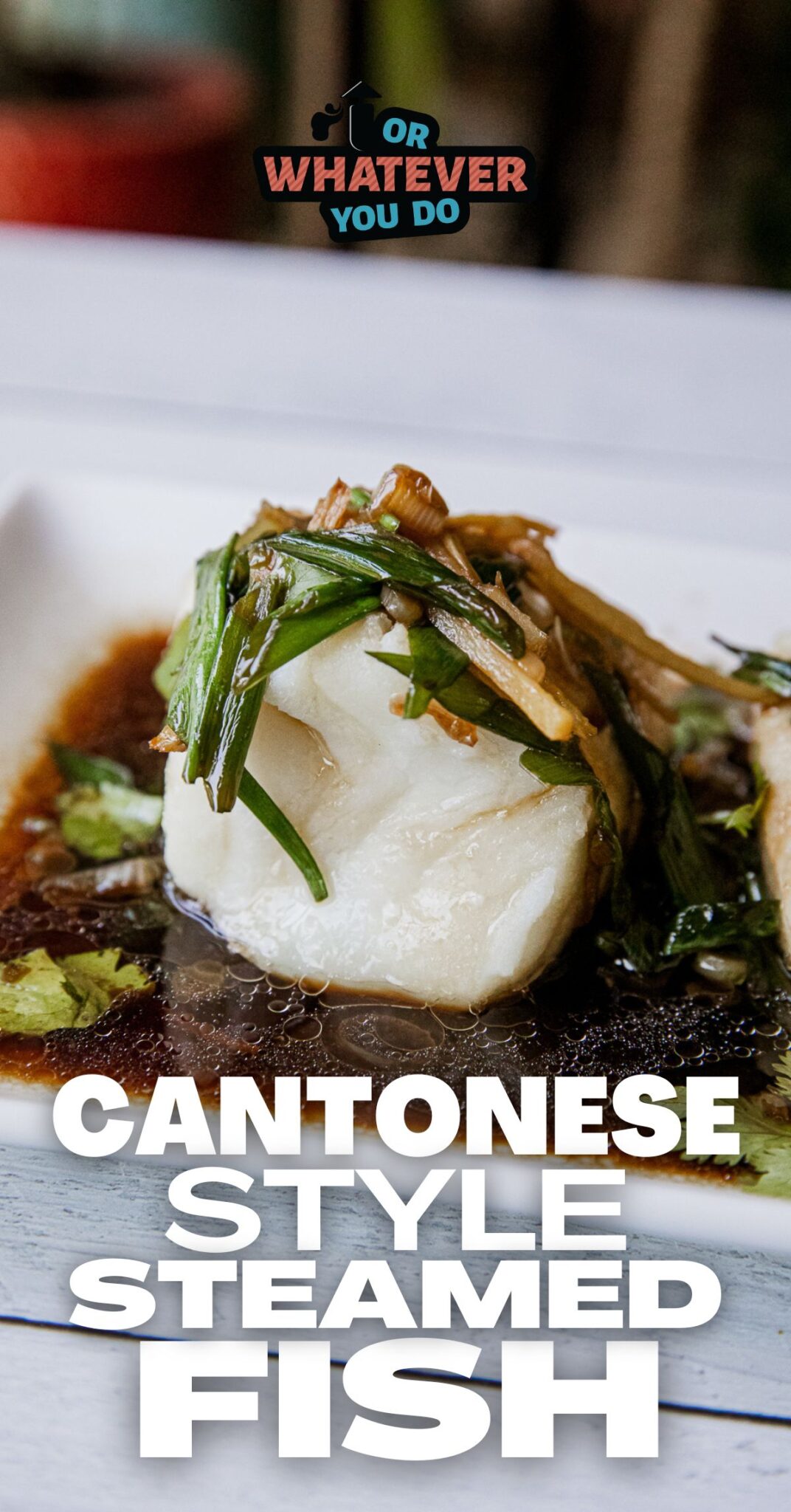 Cantonese-Style Steamed Fish – Or Whatever You Do