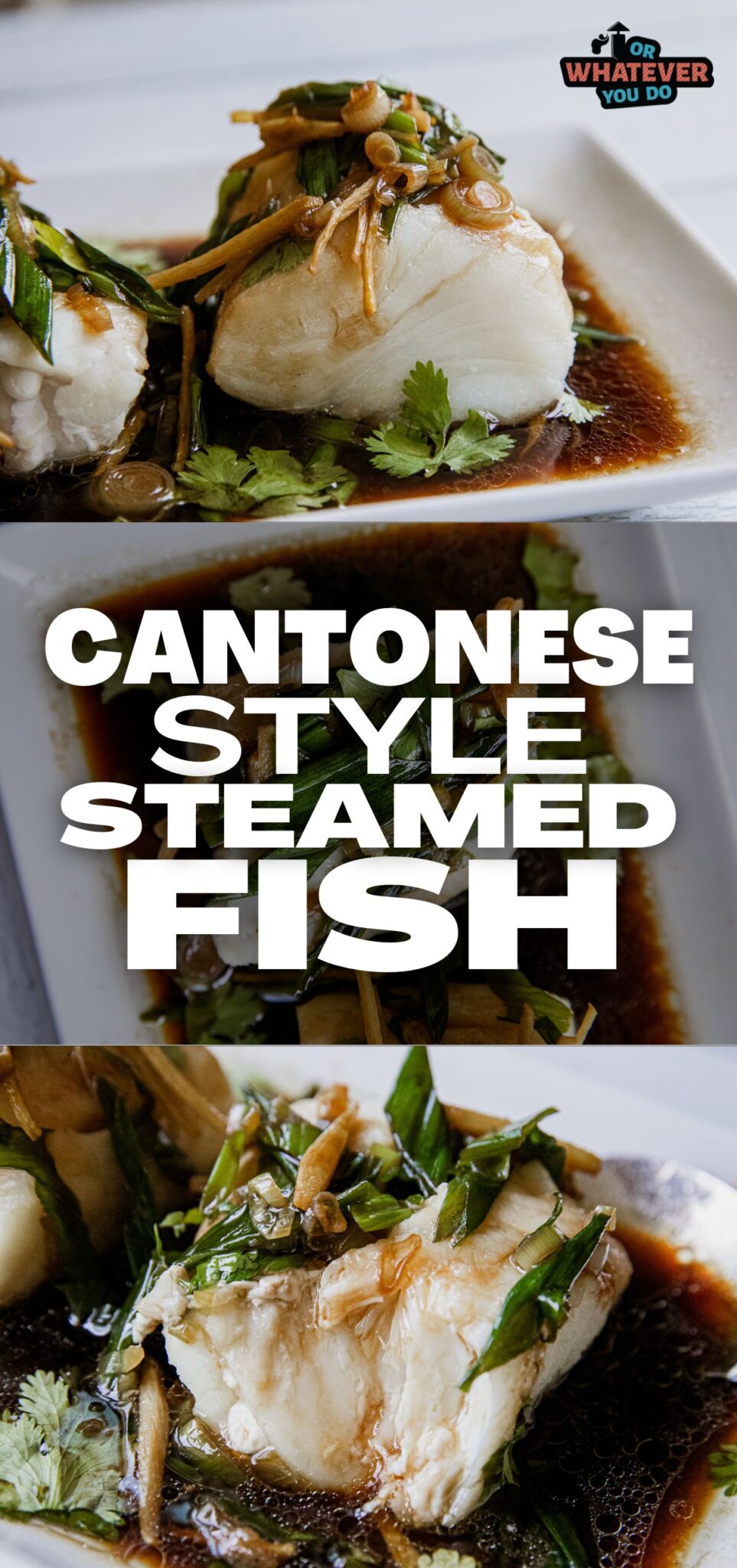 Cantonese-Style Steamed Fish – Or Whatever You Do