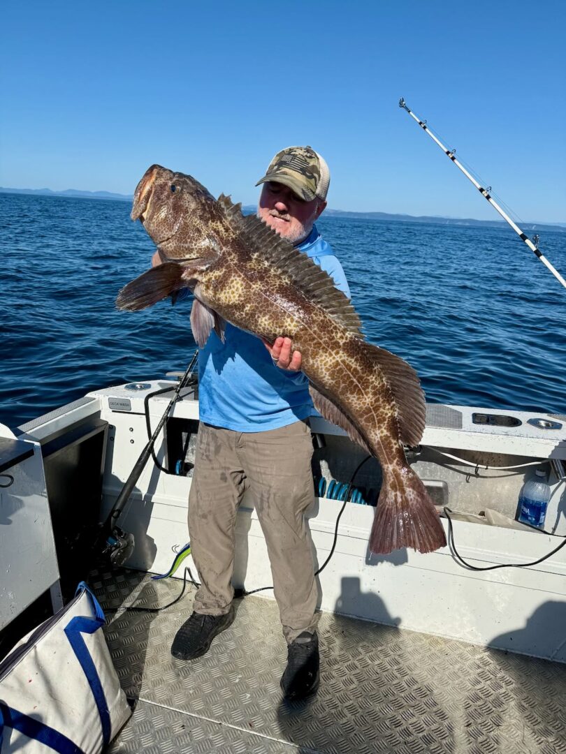 Spicy Sous Vide Lingcod Cheeks – Or Whatever You Do