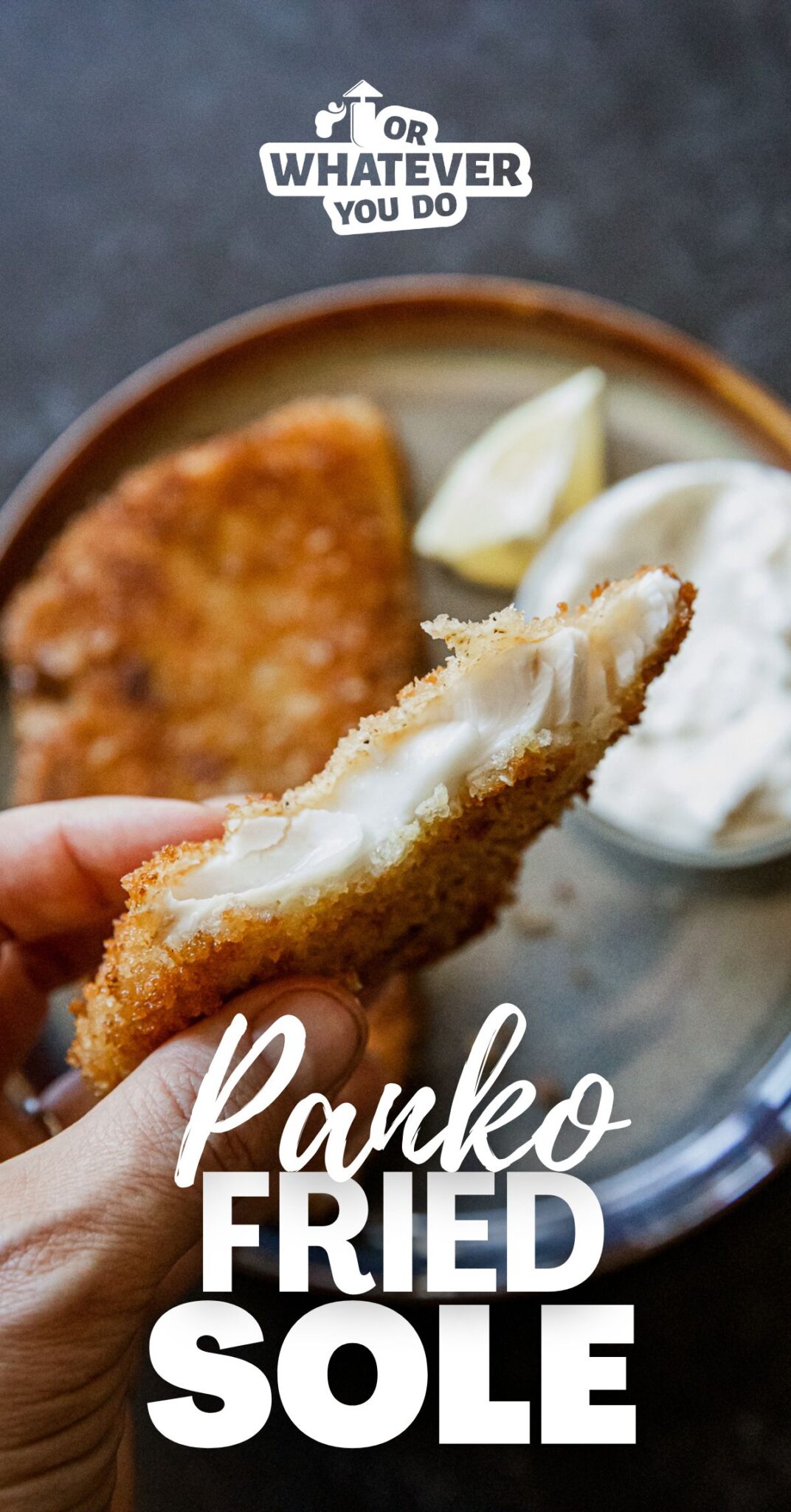 Panko Fried Sole – Or Whatever You Do